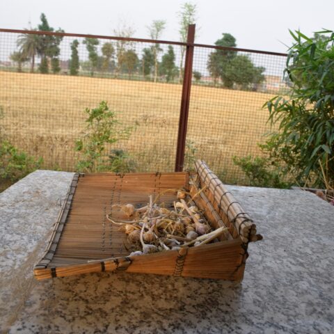 Joinery – Vernacular Furniture of India